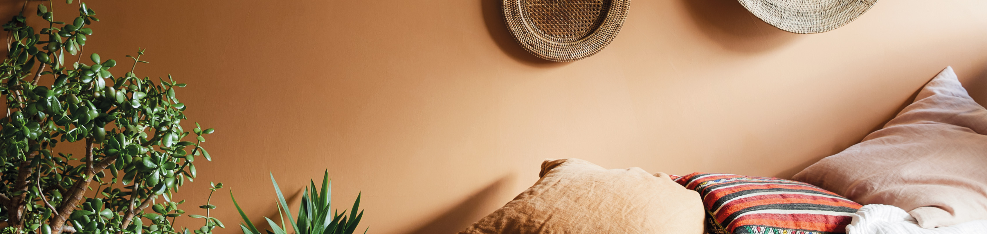 Peach & Terracotta Paint Colours | Eco Friendly Vegan Paint | Claybrook