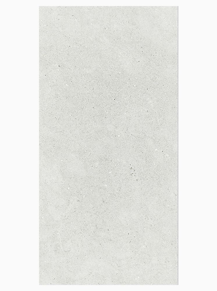 Conchology Seashell 60x120cm | Limestone Effect Porcelain Tile