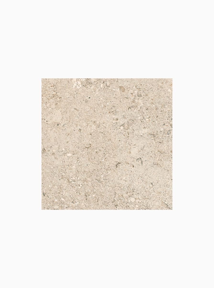 Cockleshell Boulder 60x60cm | Claybrook | Porcelain Floor and Wall Tile
