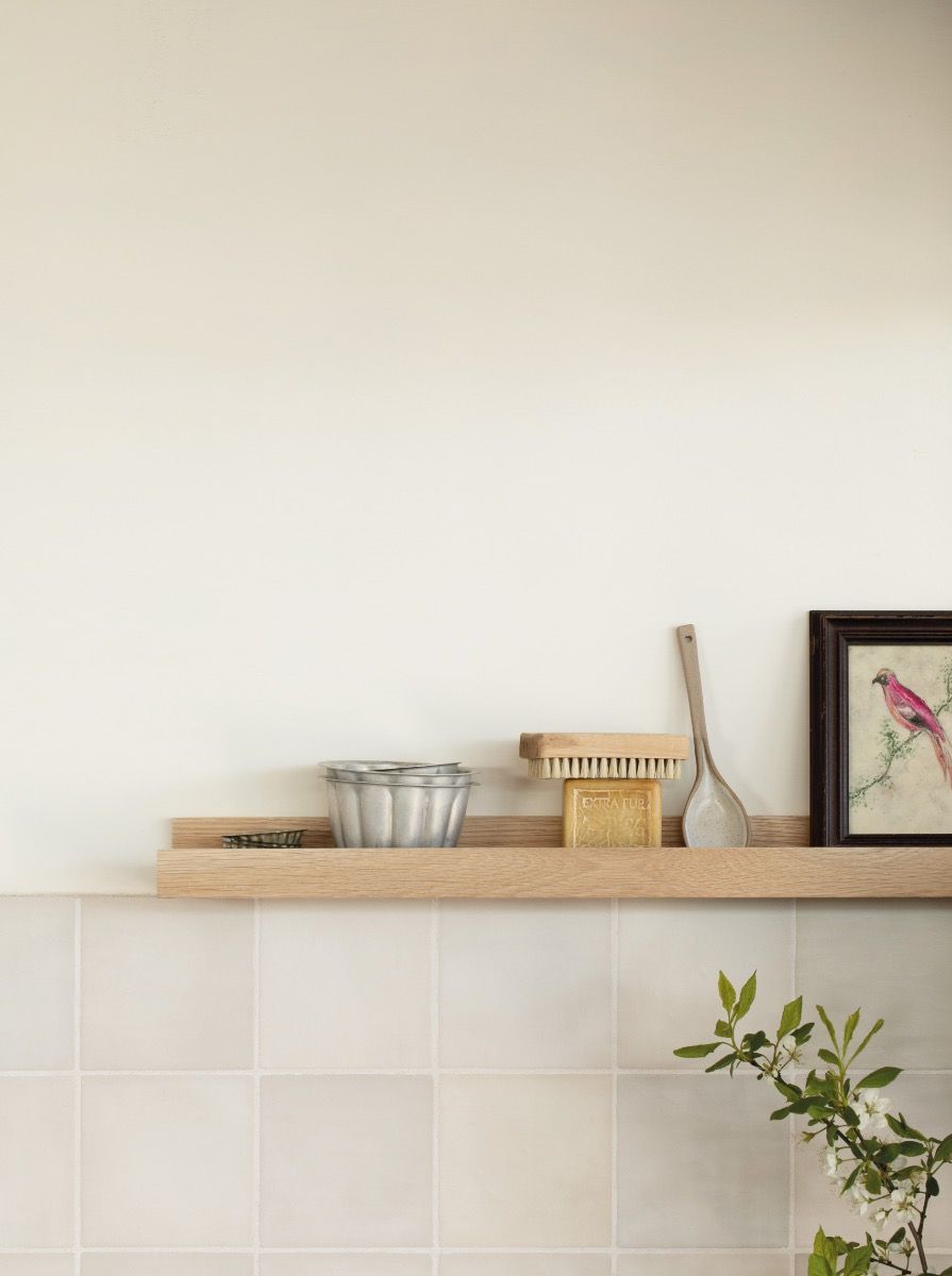 Plaster Cast | Eco Friendly Vegan Paint | Emulsion & Eggshell