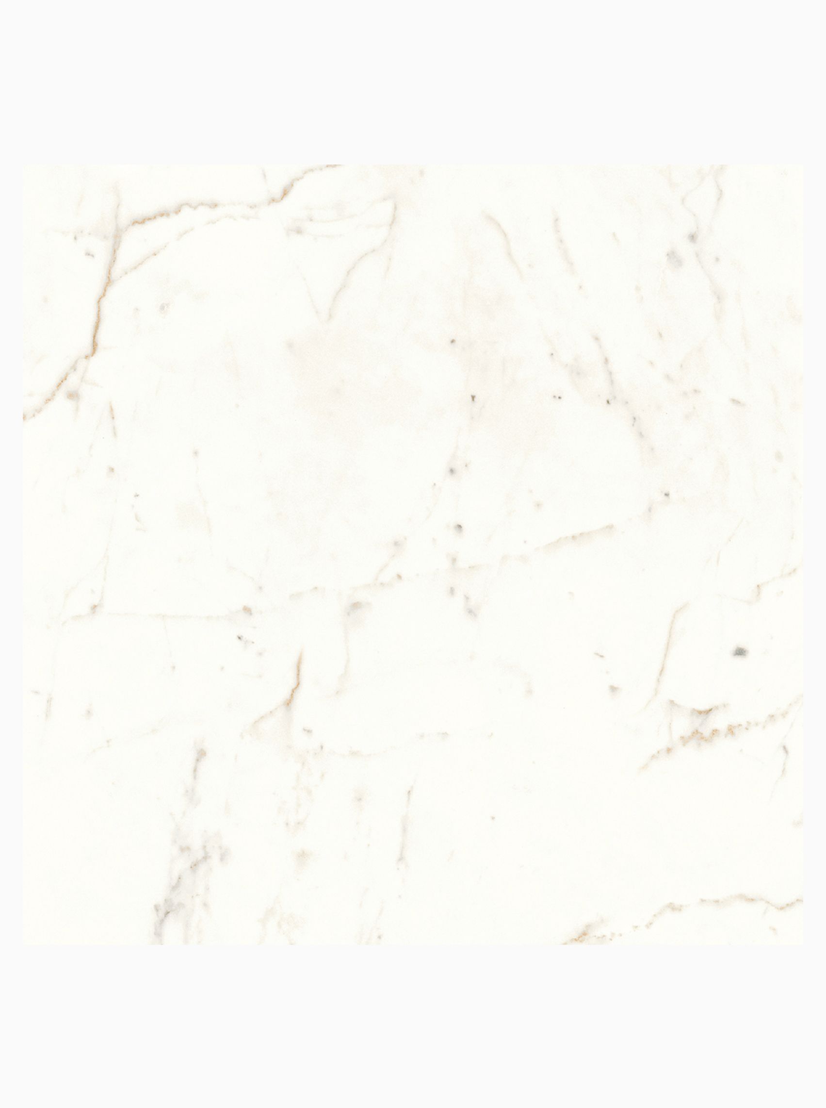 Sea Cliff Marvel Court Matt 60x60cm | Marble Effect Porcelain