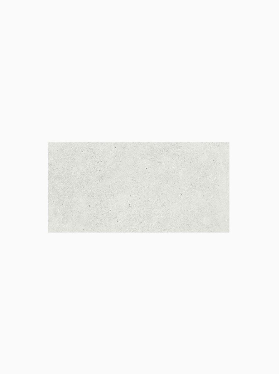 Conchology Seashell 60x120cm | Limestone Effect Porcelain Tile