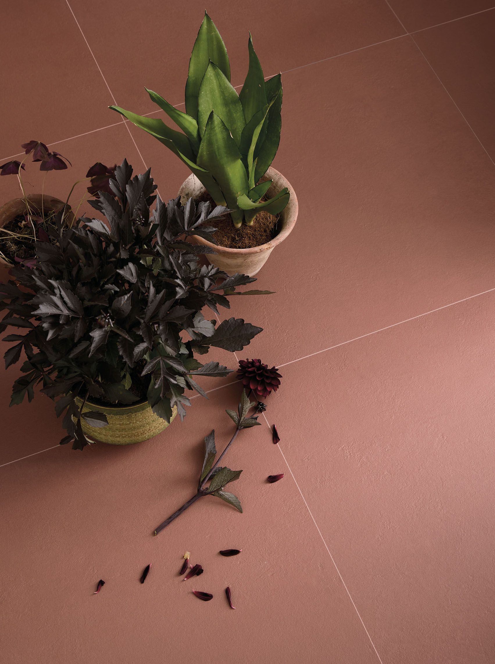 Quench Daiquiri 60x60cm | Coloured Full Body Porcelain Tile