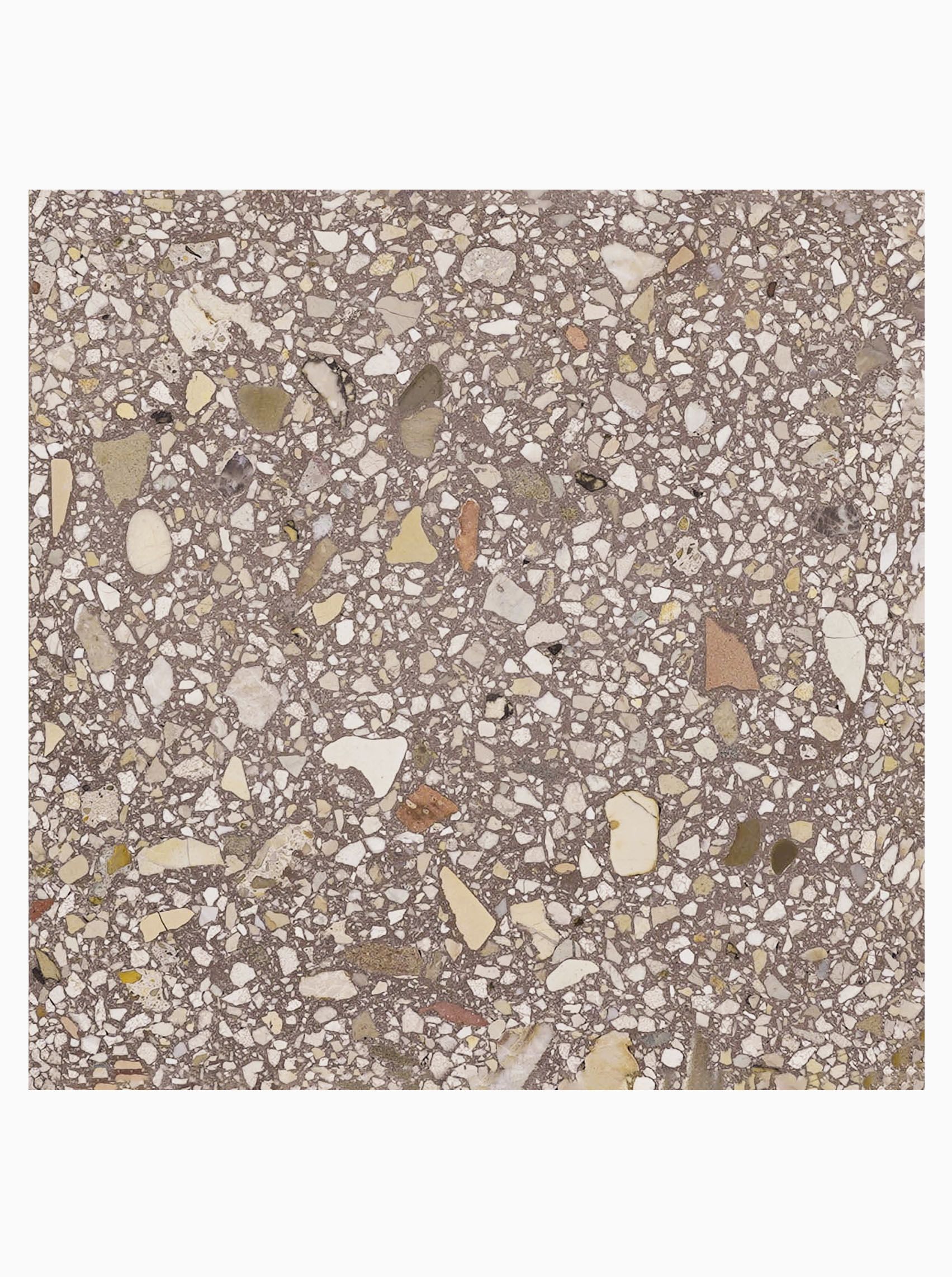 Tolentino | Real Terrazzo Tile Collection