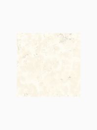Millbrook Ivory 30x30cm | Marble Effect Porcelain Wall & Floor Tile