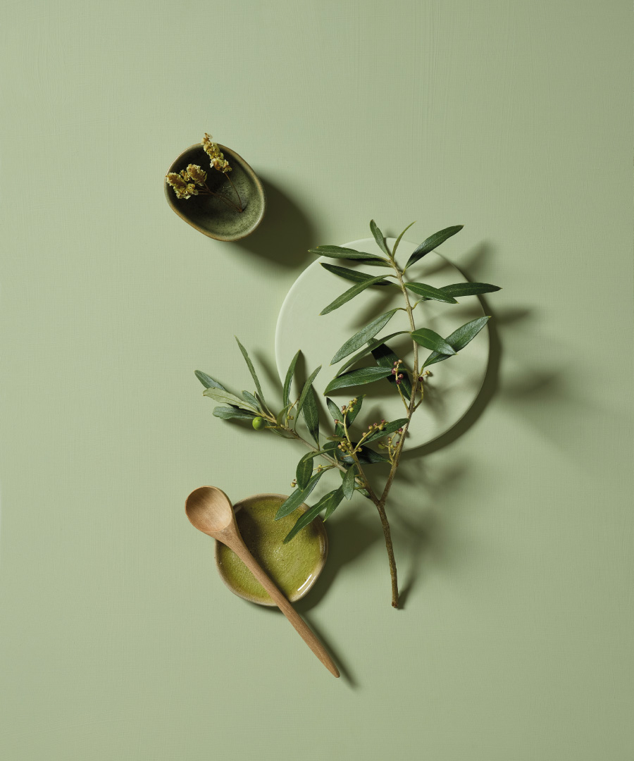 Some Sage Advice | Claybrook Journal