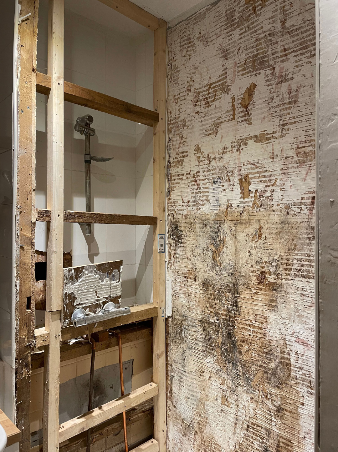 Case Study - The Otto House | Claybrook Journal